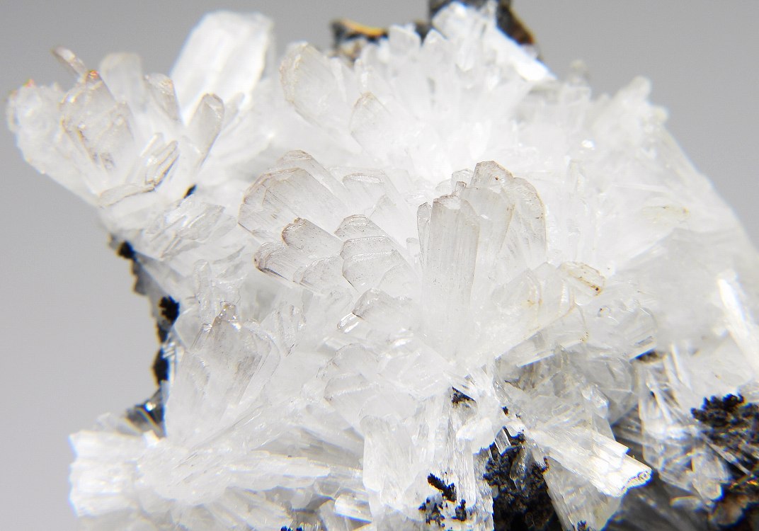 異極鉱 172 メキシコ - 鉱物標本・隕石標本販売のWeb専門店 エヌズミネラル ｜｜鉱物標本・隕石標本の販売・通販